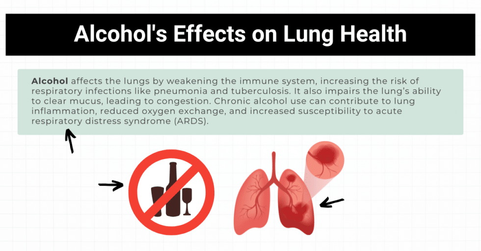 Effects of Alcohol on Lung Health and the Immune System