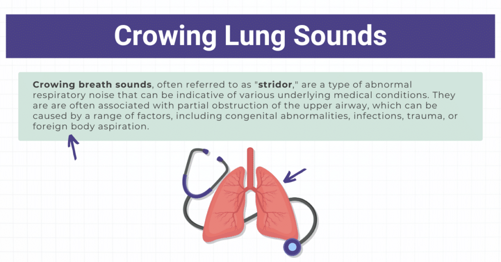 Crowing Breath Sounds: A Comprehensive Guide (2026)