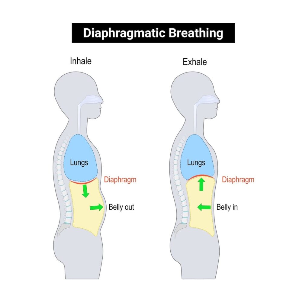 The 11+ Best Pulmonary Rehab Exercises to Do at Home (2025)