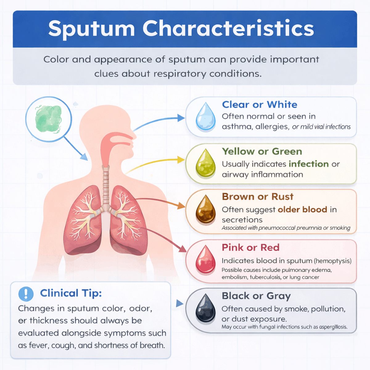 Sputum Evaluation: Colors and Their Clinical Significance
