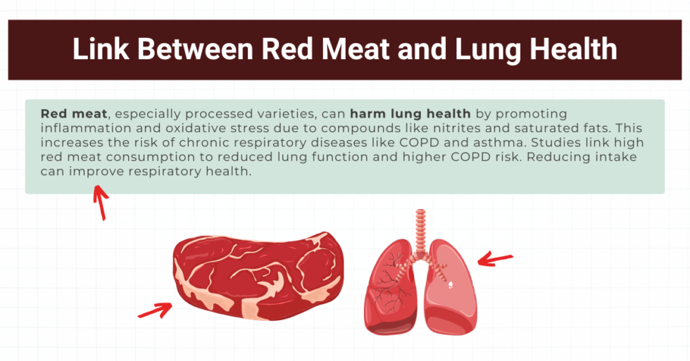 The Impact of Red Meat on Lung Health: An Overview (2025)