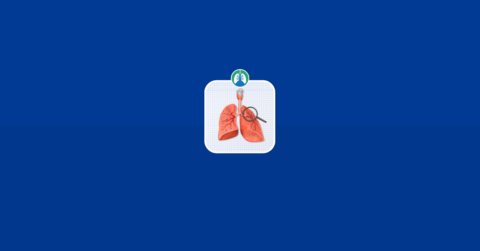 Microplastics in the Lungs: Risks and Protection Strategies