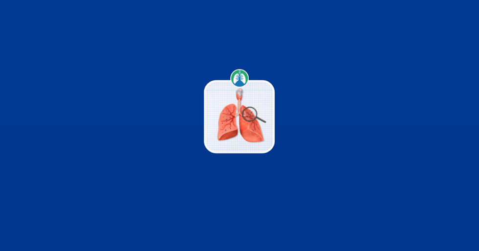 Microplastics in the Lungs: Risks and Protection Strategies