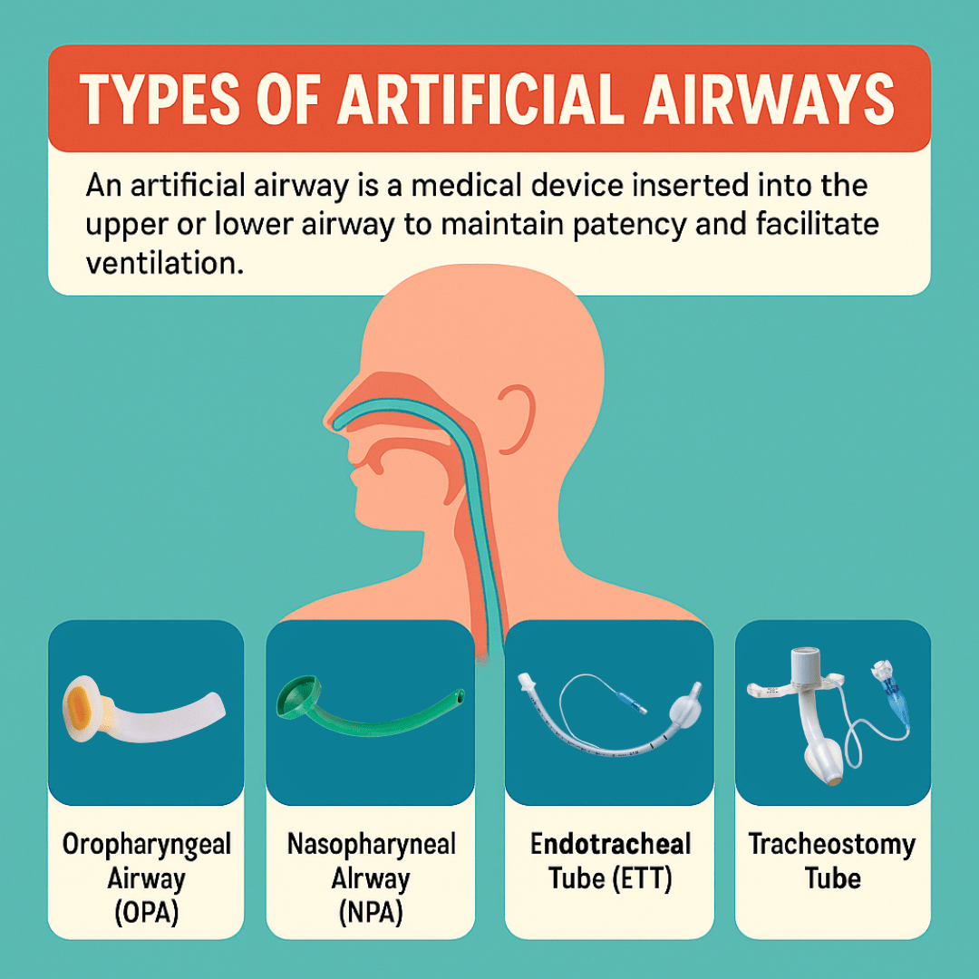 Artificial Airways: Overview and Practice Questions (2025)