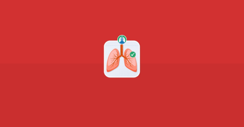 15 Interesting Facts About the Lungs and Respiratory System