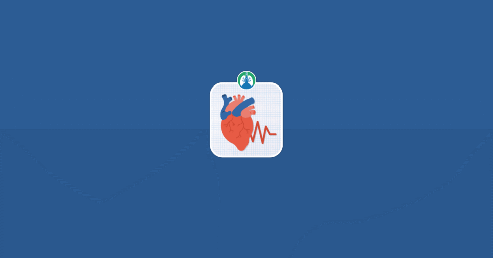 Cardiac Output: Overview and Practice Questions (2025)
