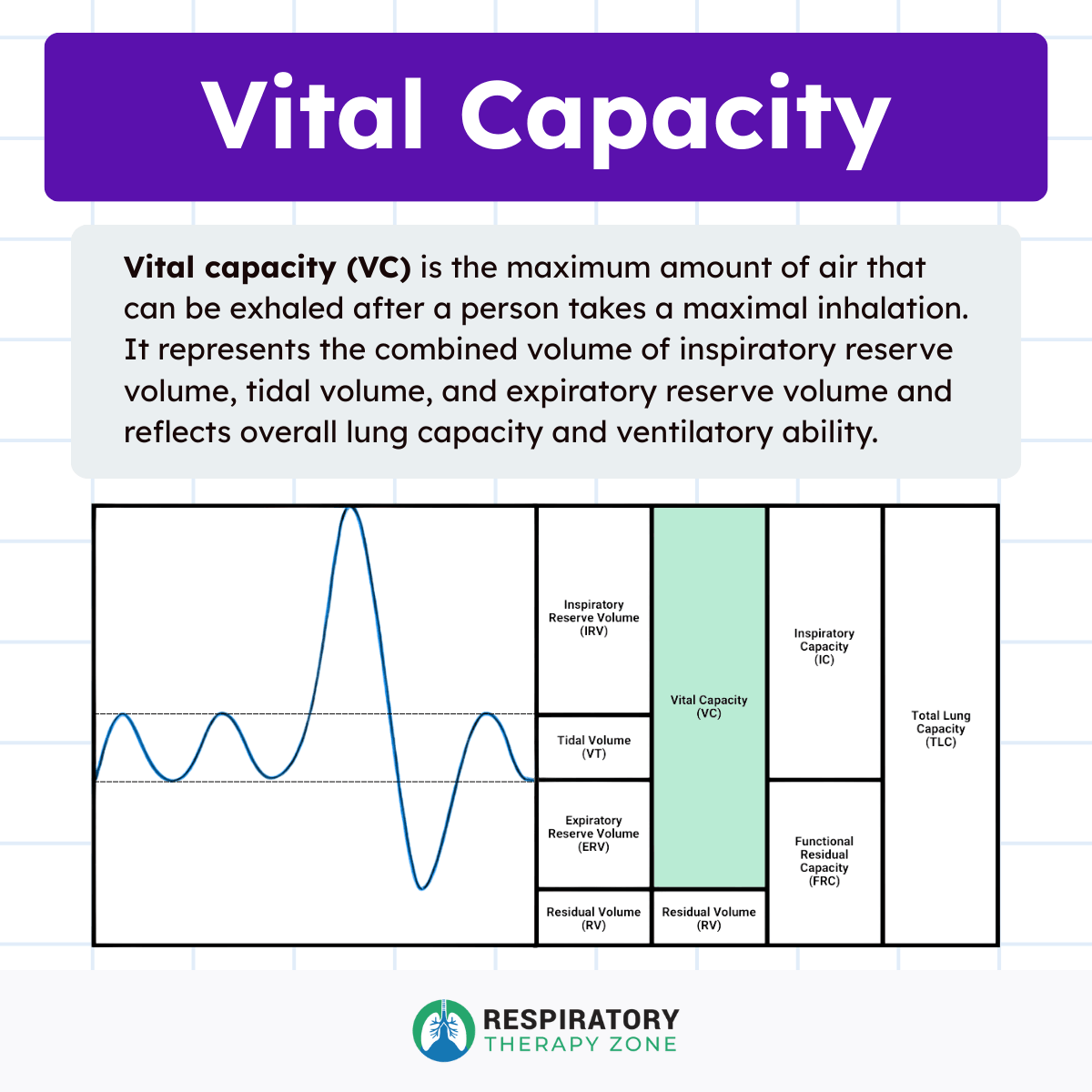 Vital Capacity (VC): Overview and Practice Questions (2026)
