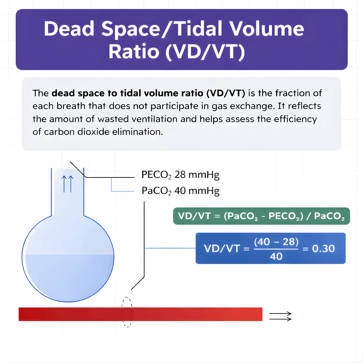 Dead Space/Tidal Volume Ratio (VD/VT): An Overview (2026)
