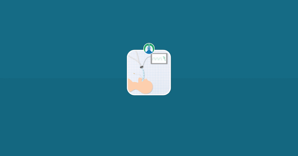End-Tidal CO2 Monitoring in Respiratory Care (2026)