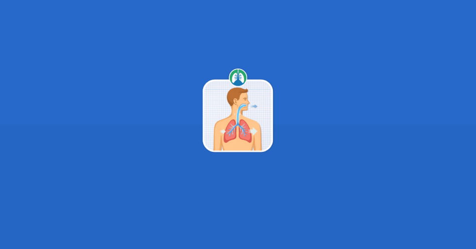 Flow Rate in Respiratory Care and Clinical Applications