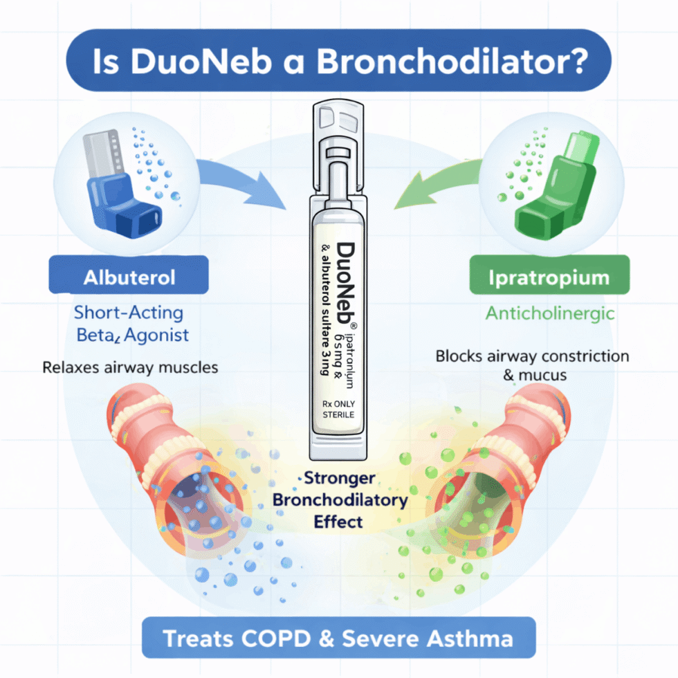 Is DuoNeb a Bronchodilator? (2026)