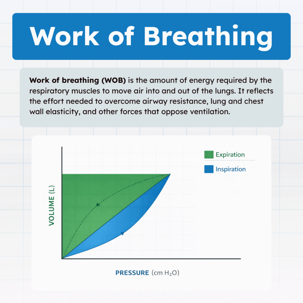 Work of Breathing (WOB): Overview and Practice Questions