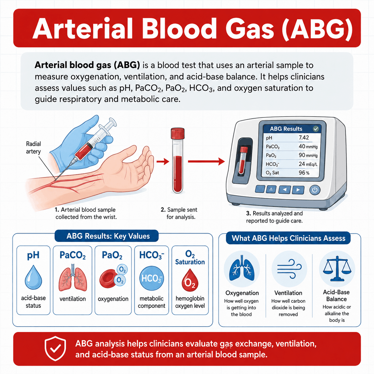 Arterial Blood Gas (ABG): Analysis and Clinical Concepts
